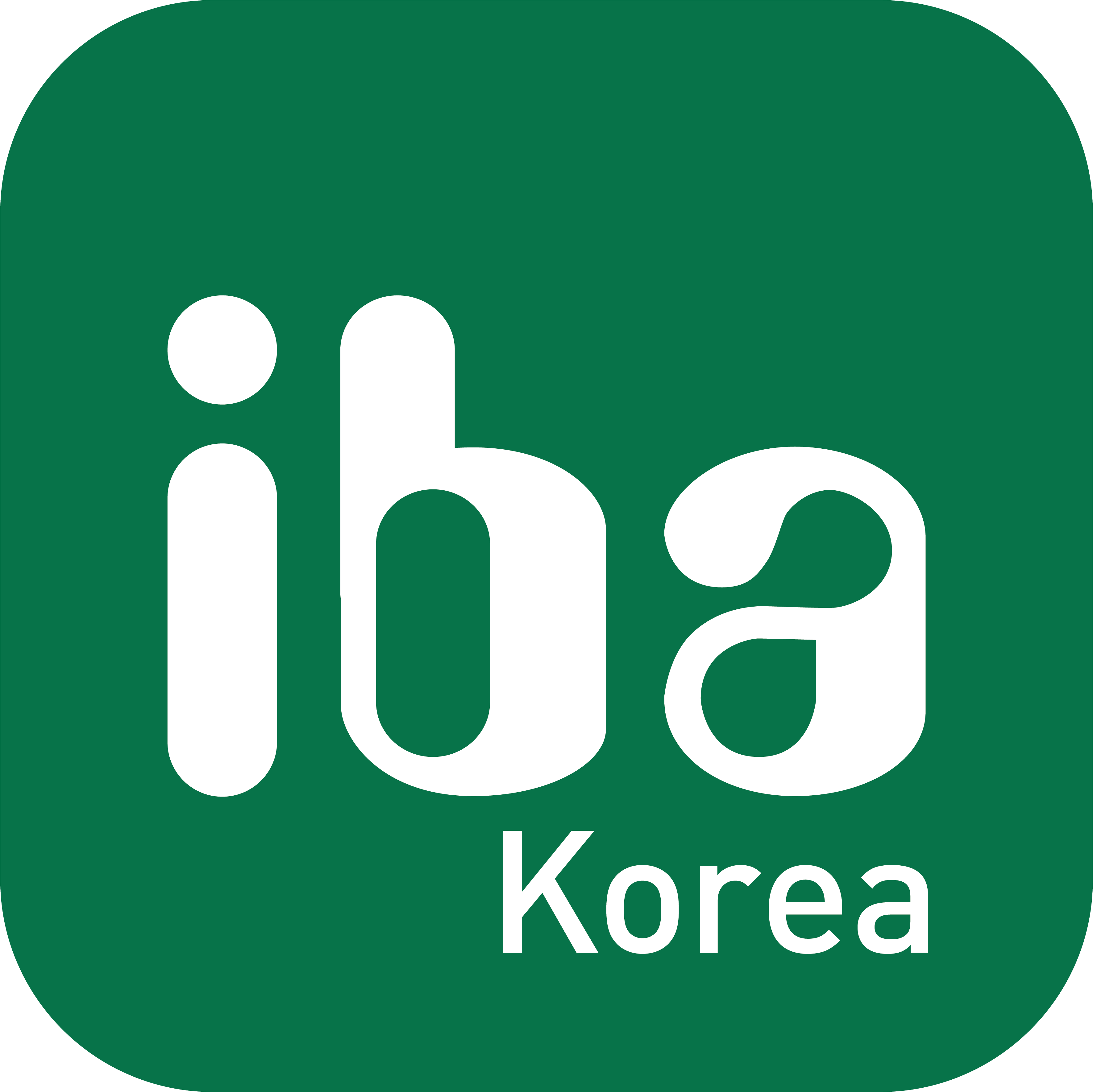 iba KOREA ERP